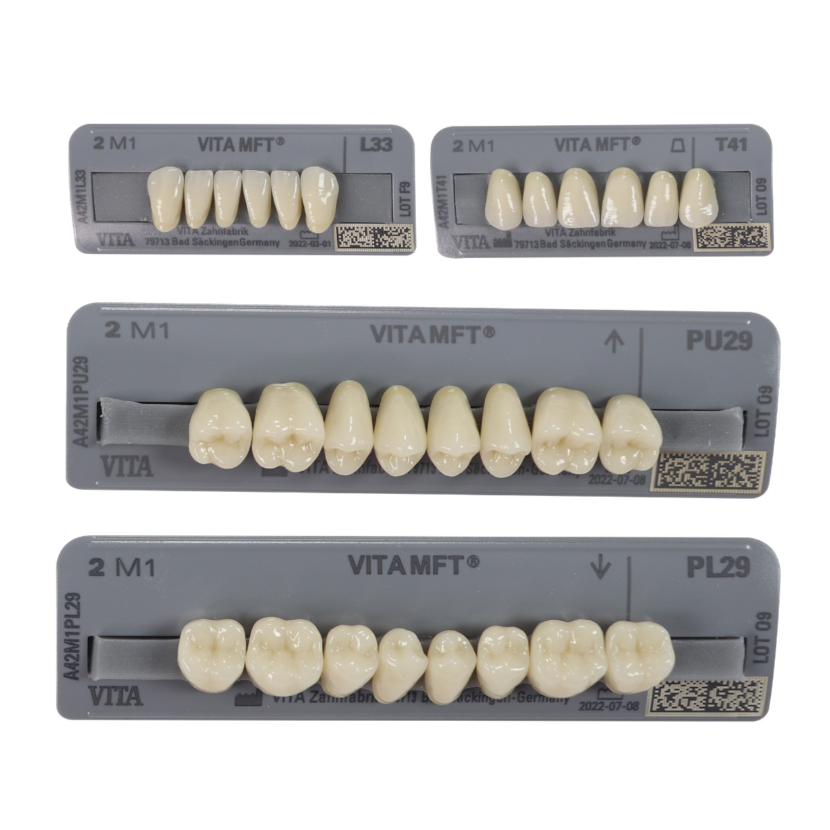 Teeth Set at Best Price in India | Dentalkart.com