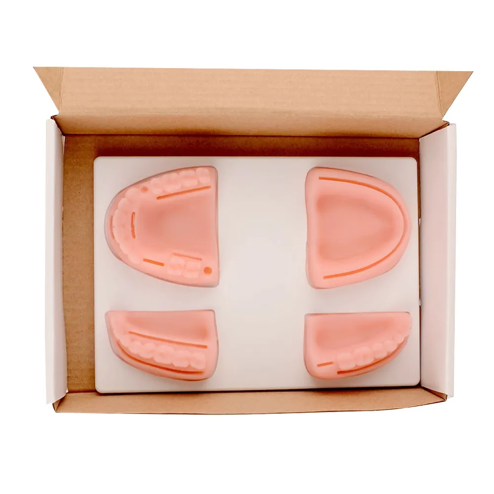 Master Suture Techniques with iDENTical Dental Educational Suture Model ...