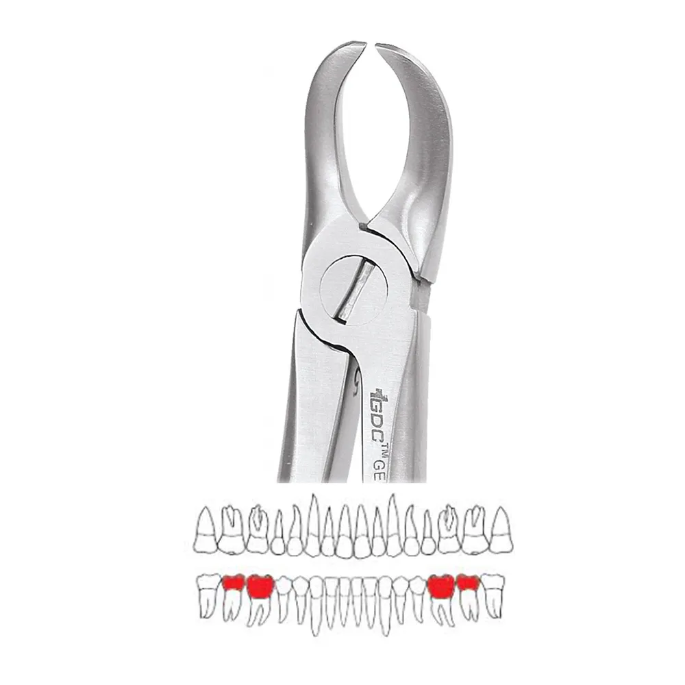GDC Extraction Forceps Lower Molars - 87 Standard (FX87S) Online at ...