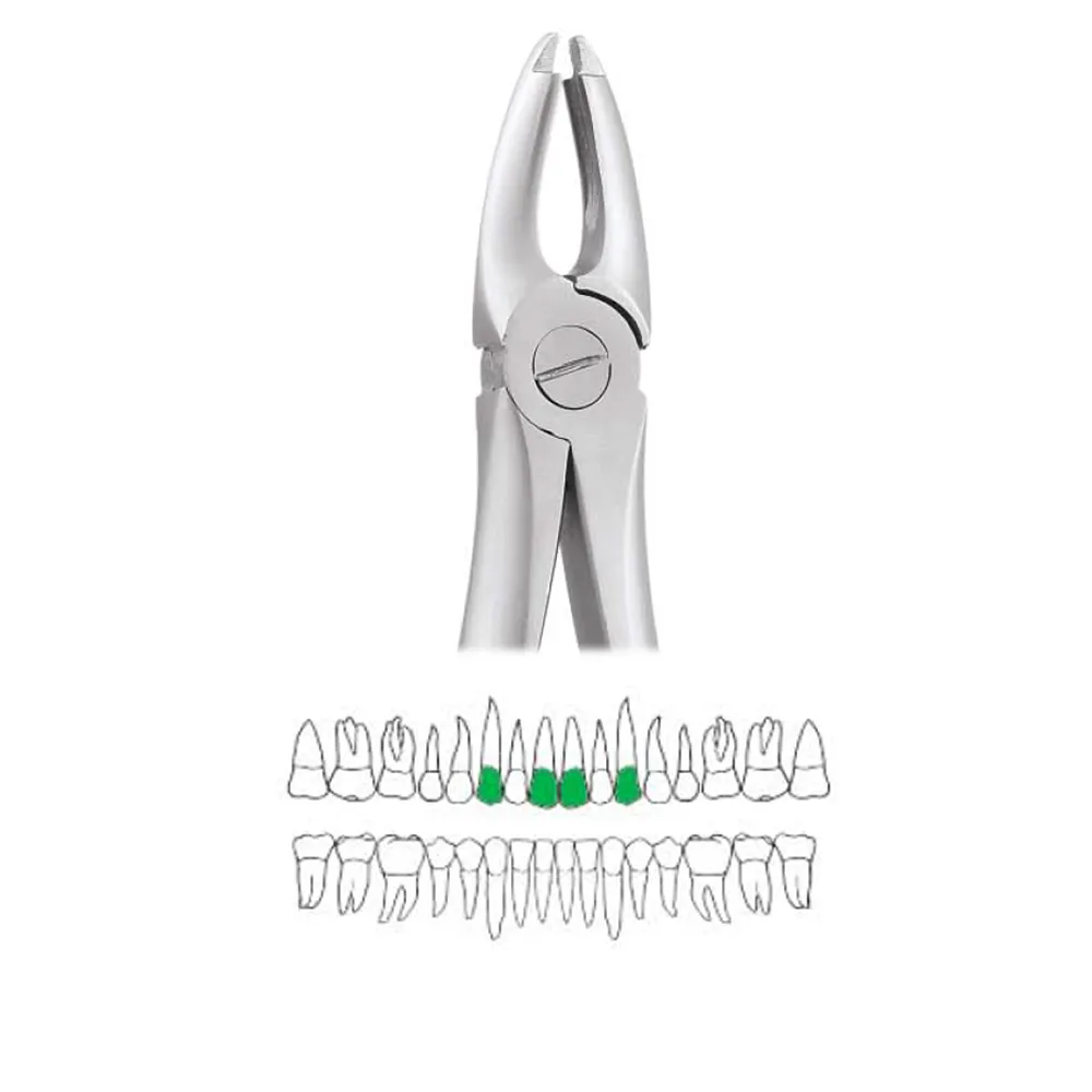GDC Extraction Forceps Atraumatic Online at Best Price | Dentalkart.com