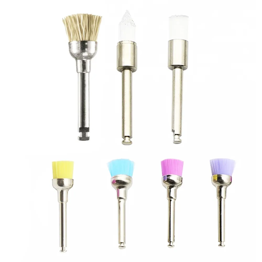 Cotisen Prophy Polishing Brushes (Pack Of 100) Online at Best Price ...