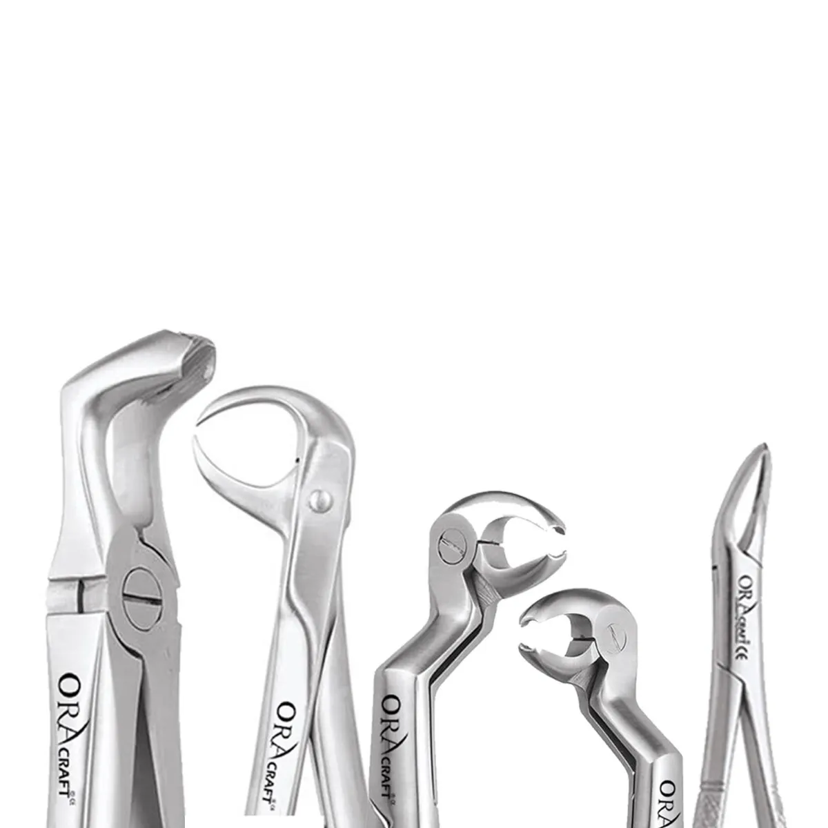 Oracraft Extraction Forceps