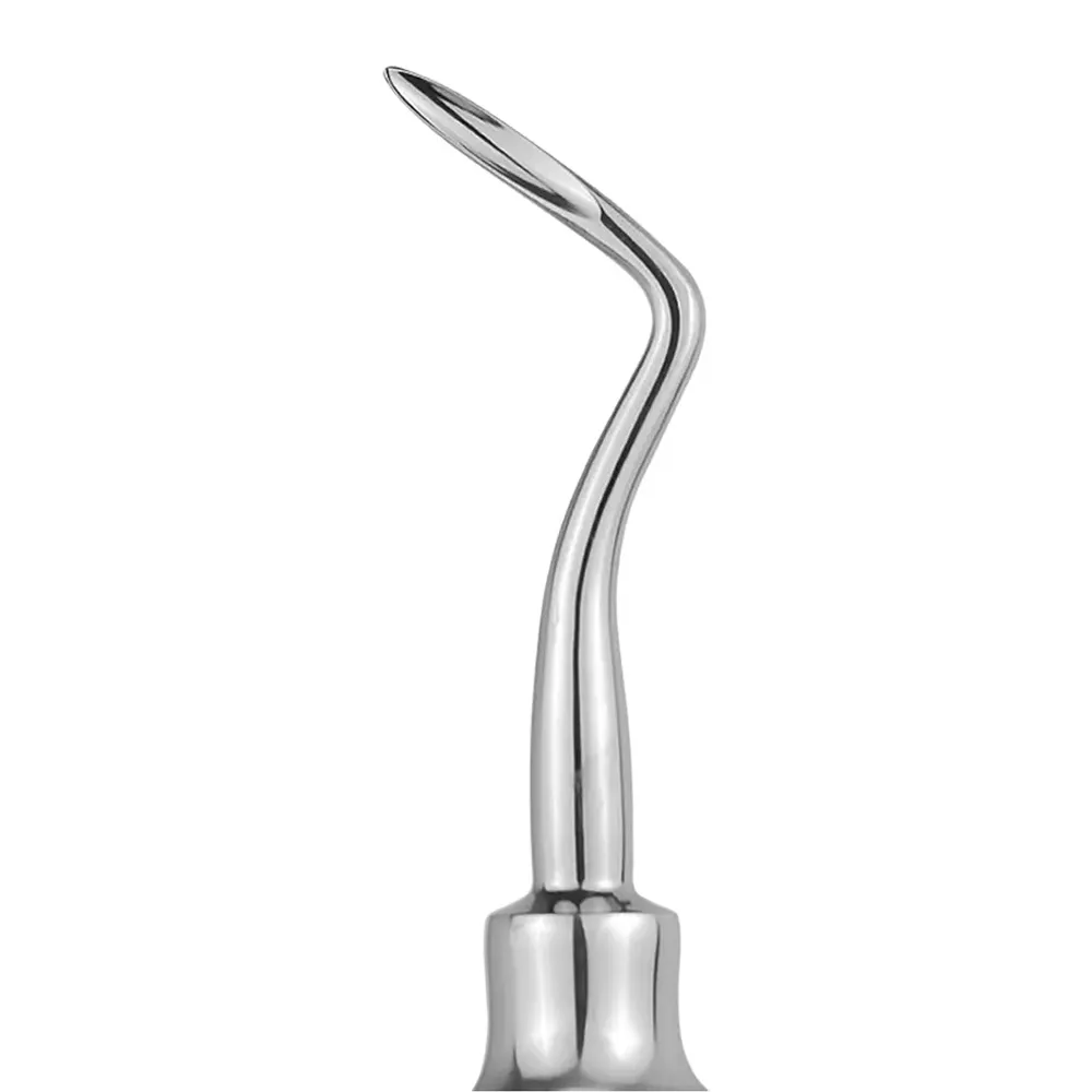 GDC Root Elevators Apical Standard (E3f) Online at Best Price ...