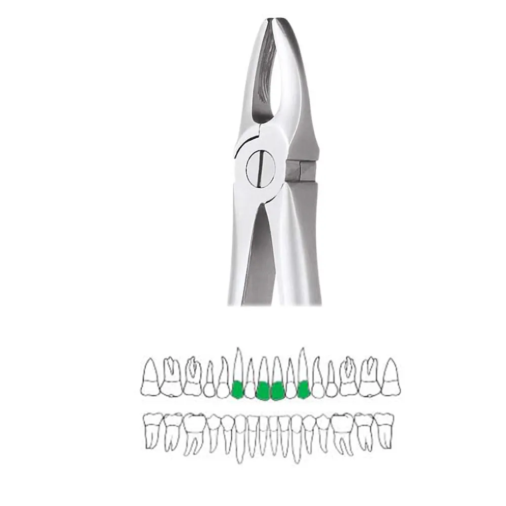 Waldent Tooth Extraction Forceps Upper Molars Left, No.18 (1/105 ...