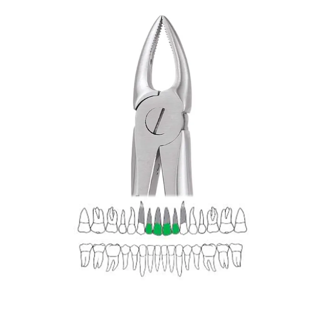 GDC Extraction Forceps Upper Roots Narrow - 29n Standard (Fx29ns ...