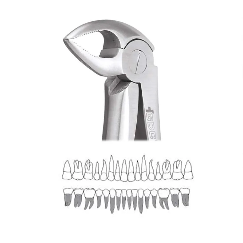GDC Extraction Forceps Lower Roots - 33 Standard (FX33S) Online at Best ...