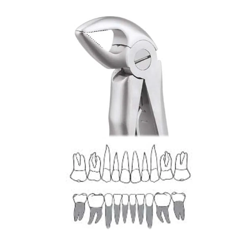 GDC Extraction Forceps Lower Roots Pedo Standard (FX3CS) Online at Best ...