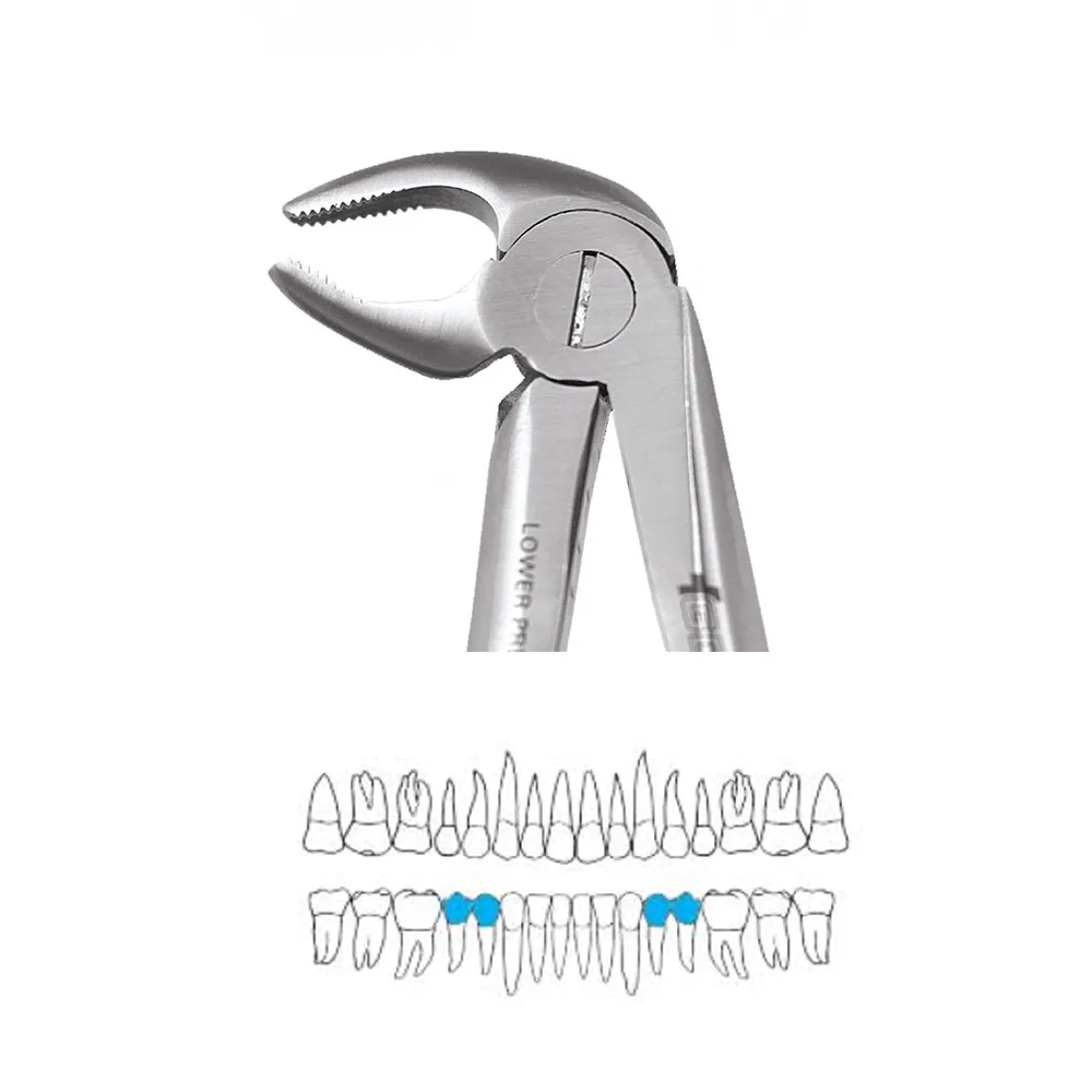 GDC Extraction Forceps Lower Premolars - 75 Standard (Fx75s) Online at ...