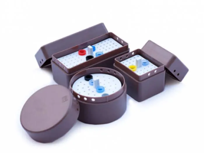 Oro Endo Box Online at Best Price | Dentalkart.com