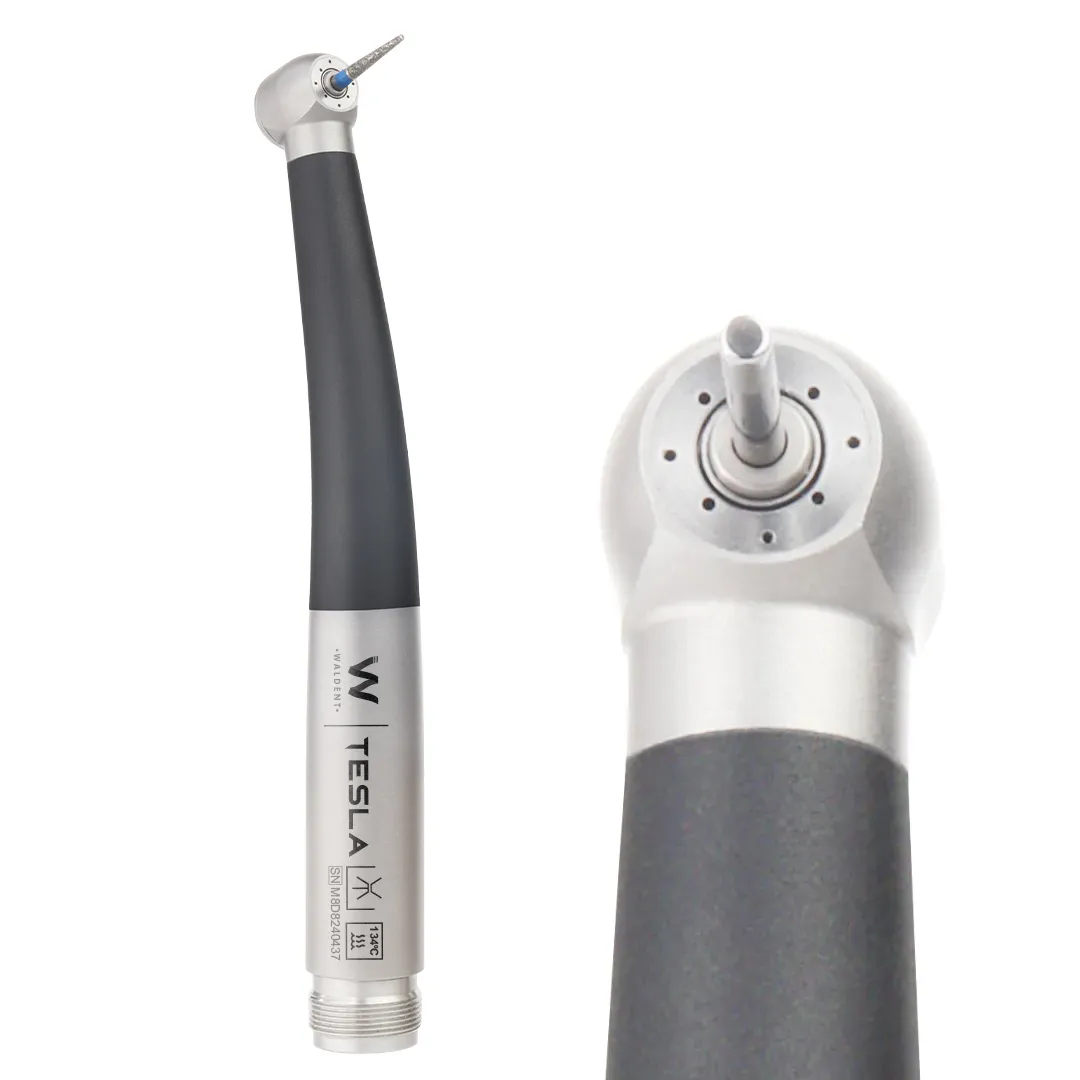 Waldent Tesla Airotor Standard Head (W-160) | Dentalkart