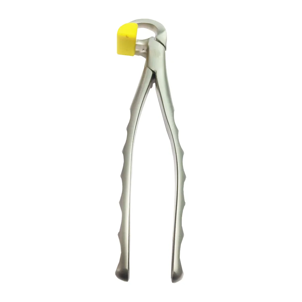 GDC Extraction Forceps Upper Left Physical (Pafx100ul) Online at Best ...