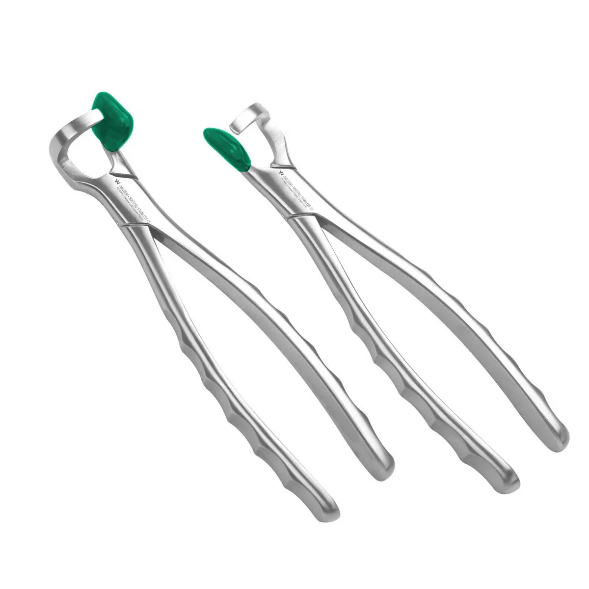 Buy GDC Extraction Forceps Kit (Set Of 12) (EFSP12) | DentalKart